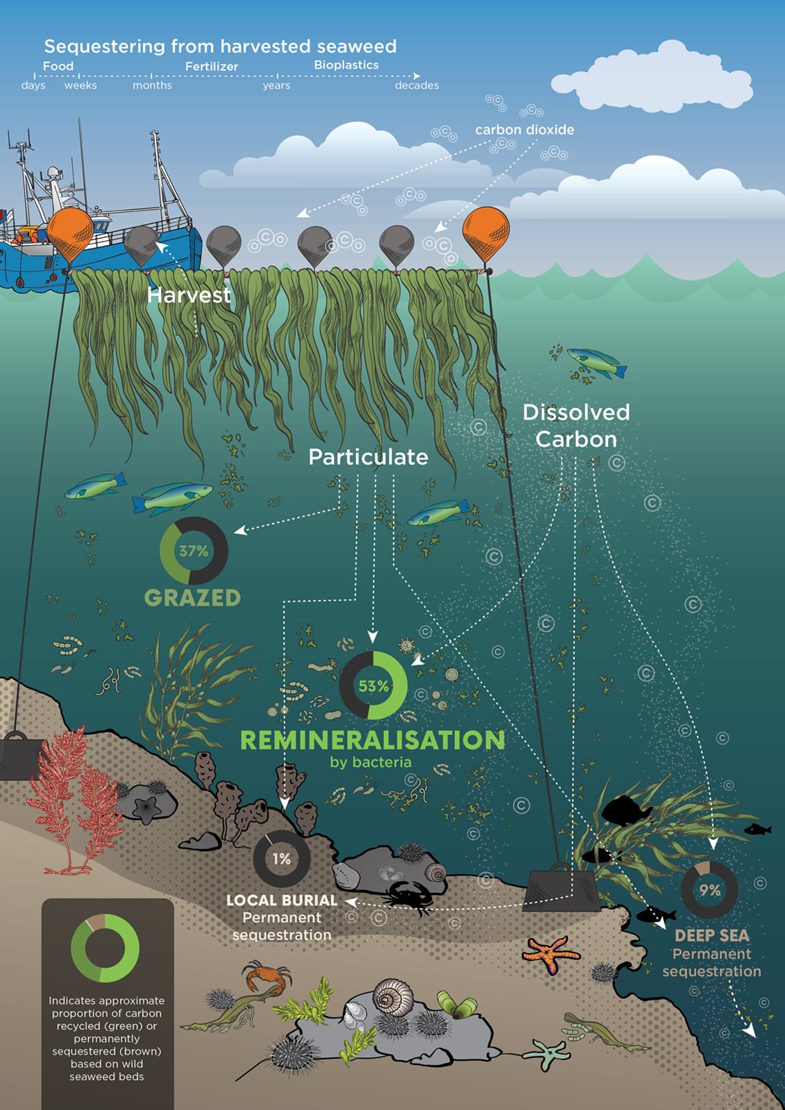 Science infographics have global impact